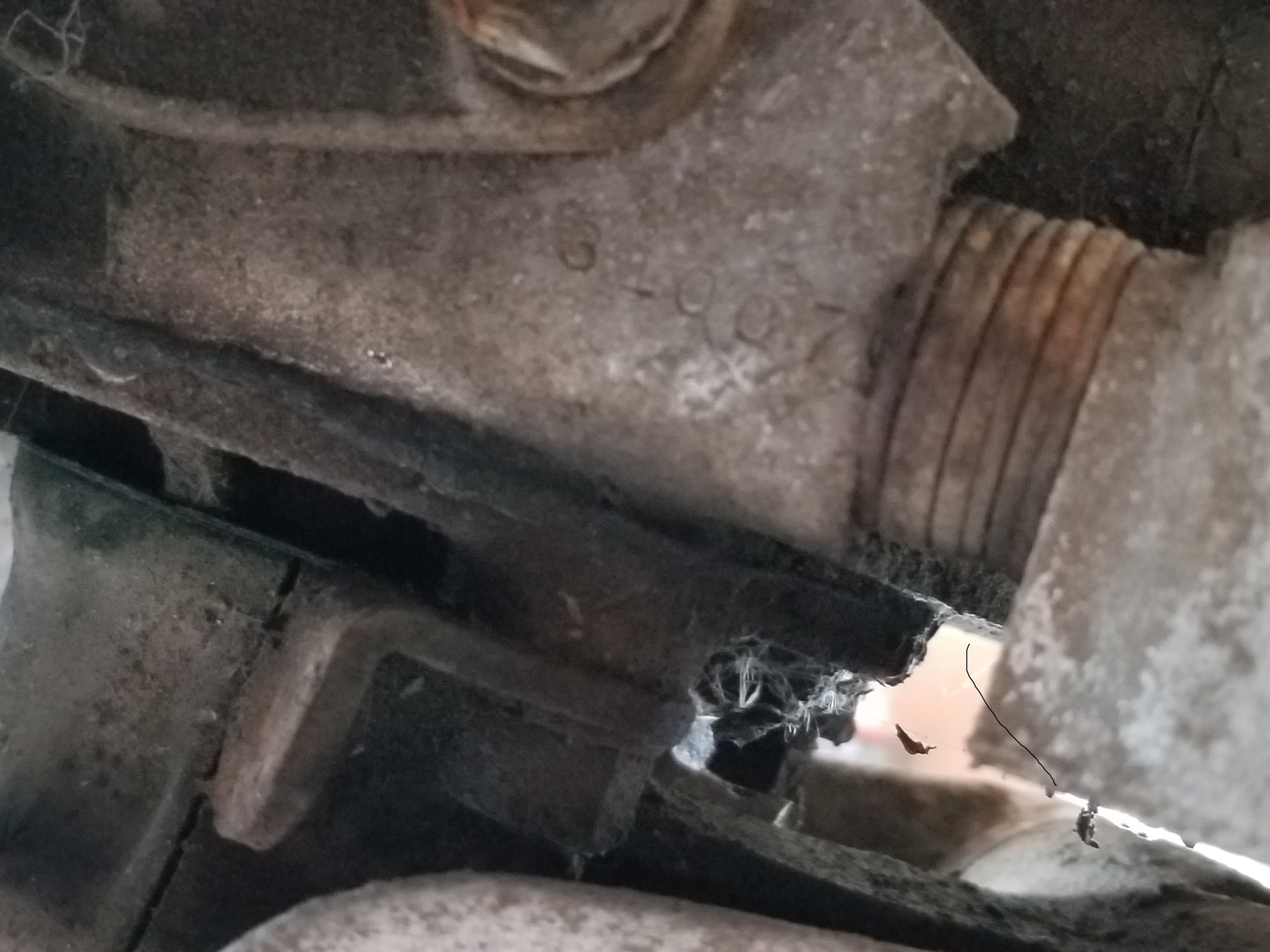 Topic: Elto Senior Speedster – Antique Outboard Motor Club,Inc